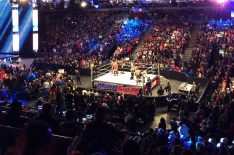 7 Must-Watch Documentaries for Pro Wrestling Fans – TV Insider