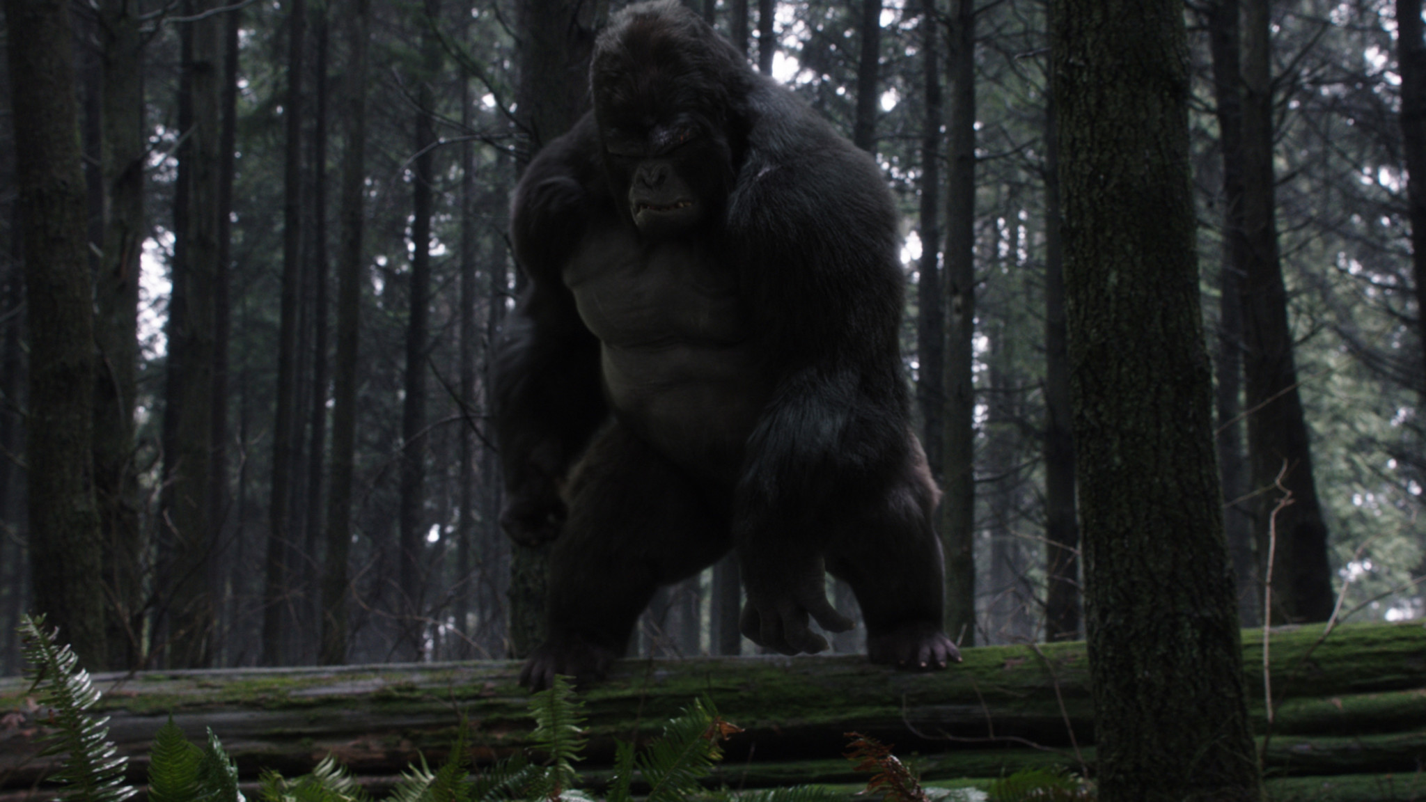 Is Gorilla Grodd Bringing the Apocalypse to 'The Flash'?