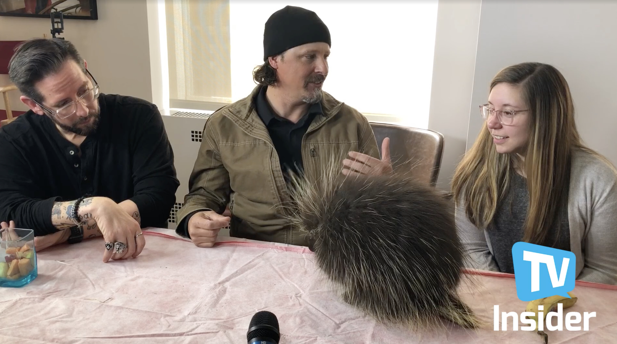 'Monster Encounters': Casey Anderson Introduces Us to Some Fun Critters ...