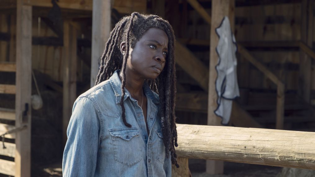 What Do Michonne & Daryl's Scars Mean on 'The Walking Dead'? 7 Theories