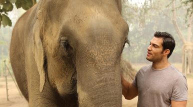 'Evan Goes Wild': Dr. Evan Antin Chases Wildlife to Wild Places in ...