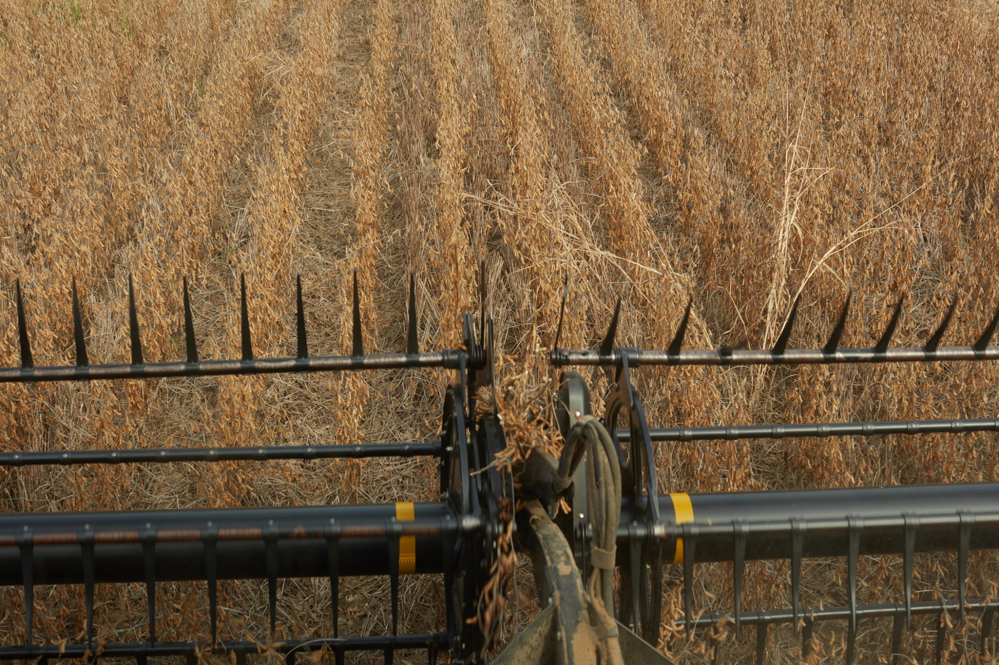History's 'The American Farm' Docuseries Follows the Lives of 5 Family ...