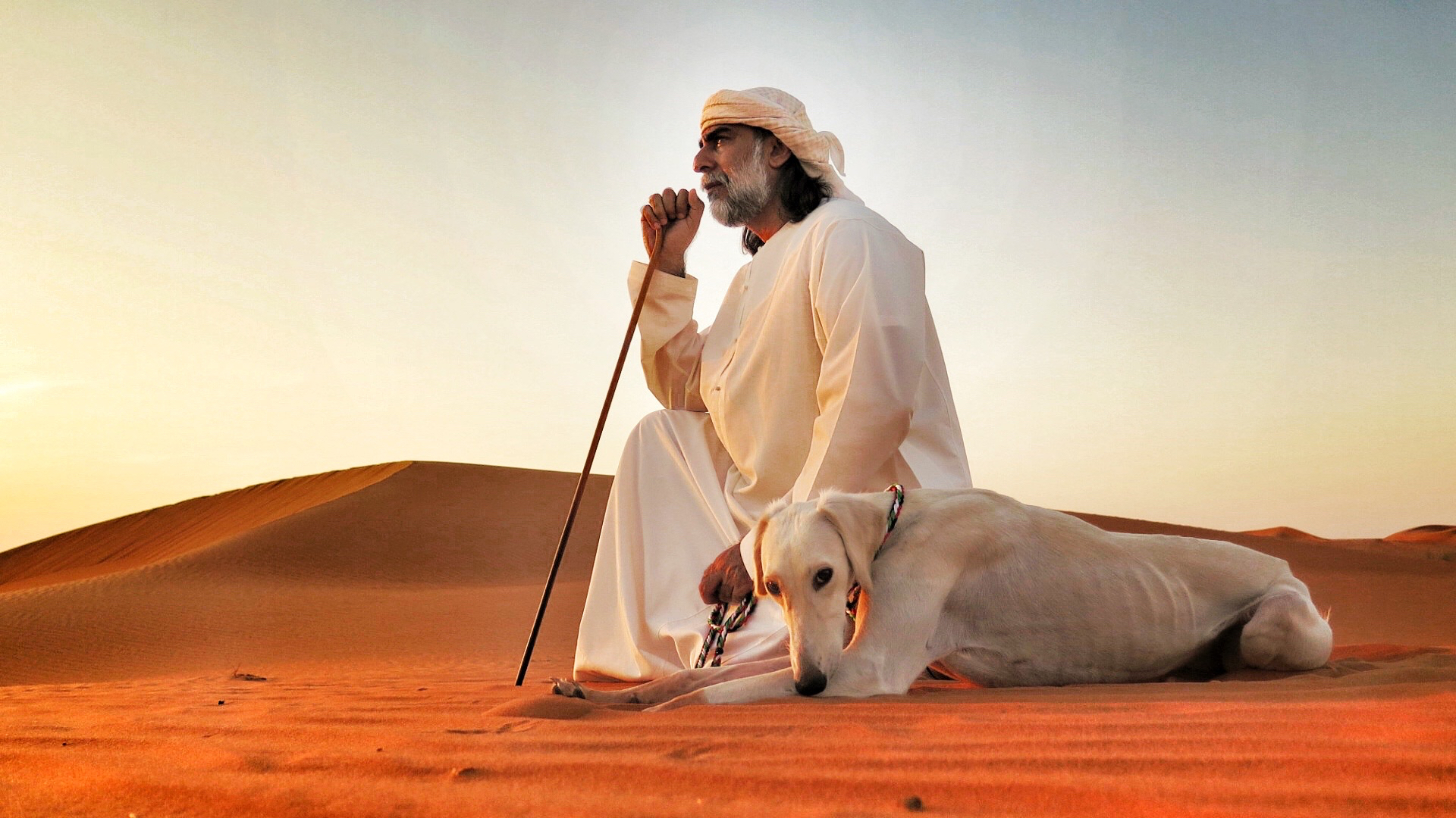 'Amazing Dogs' Travels the World to See How Canines Changed Human History