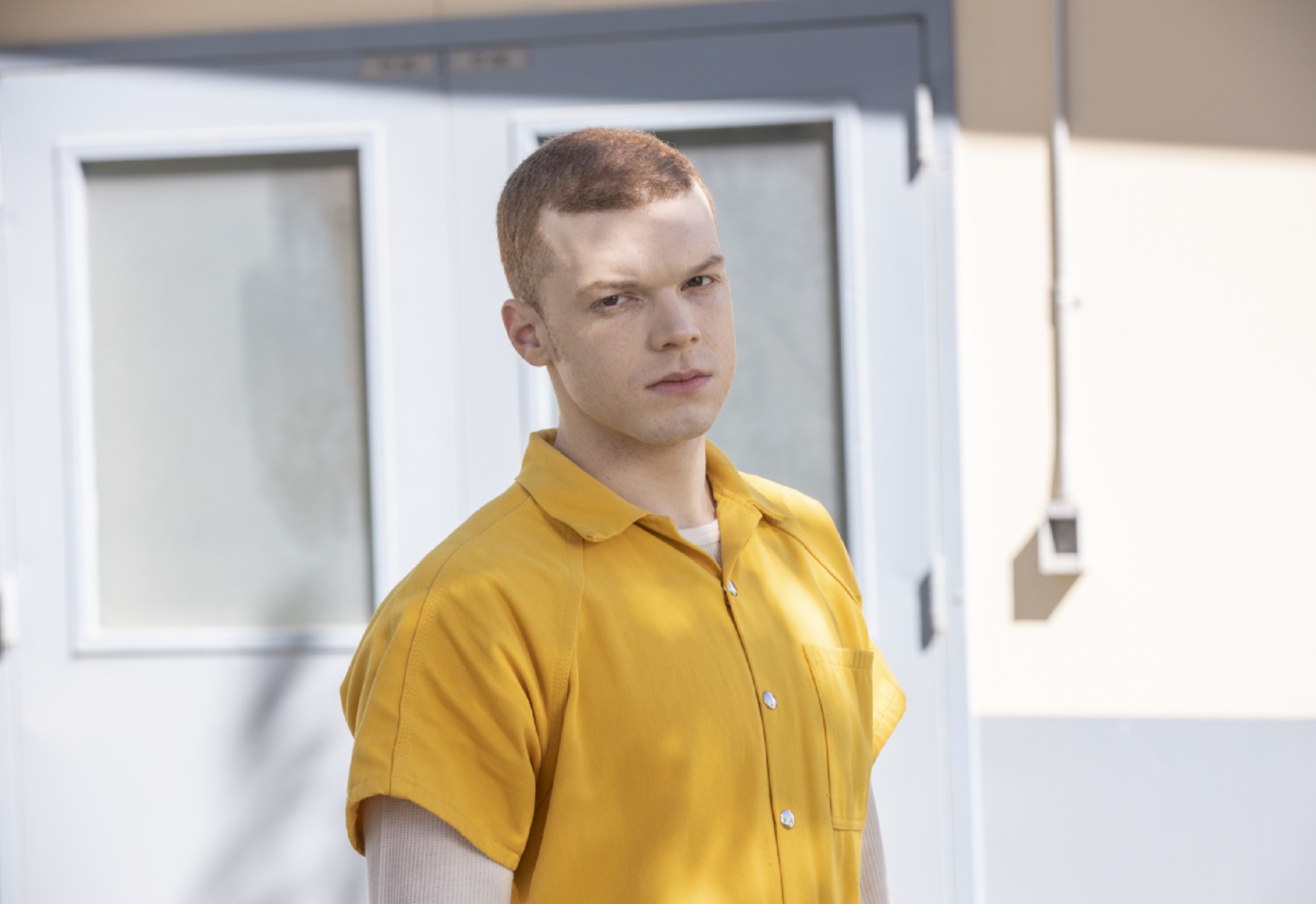 Showtime Fall 2019 Premiere Dates: 'Shameless' Season 10, 'Ray Donovan ...
