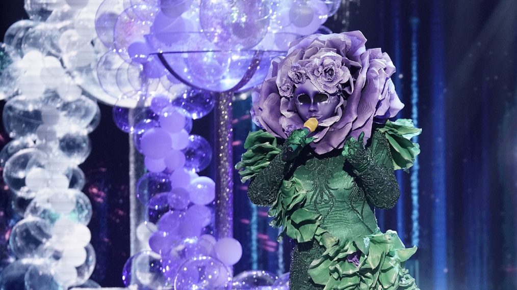 Who Are the ‘Masked Singer’ Season 2 Contestants? Best Guesses ...