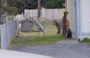 Alaska PD - A&E Reality Series - Where To Watch