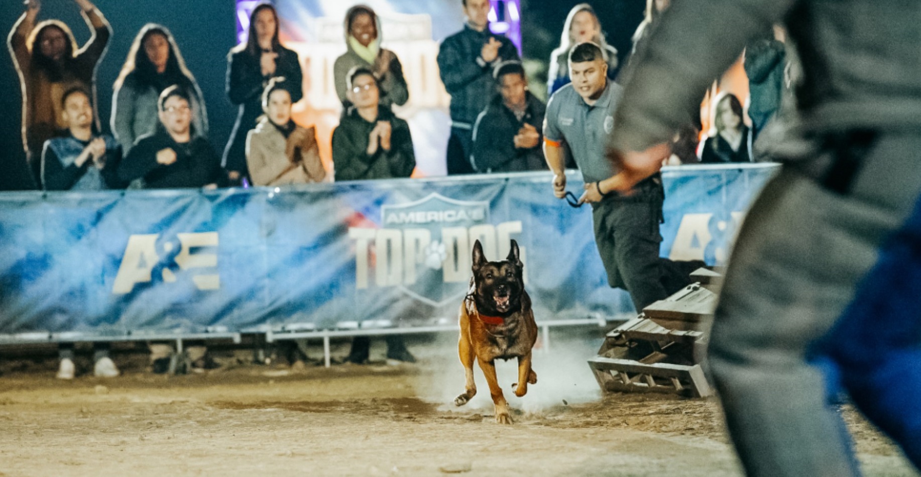 'America's Top Dog': Teamwork Is Tested in A&E's Canine Competition