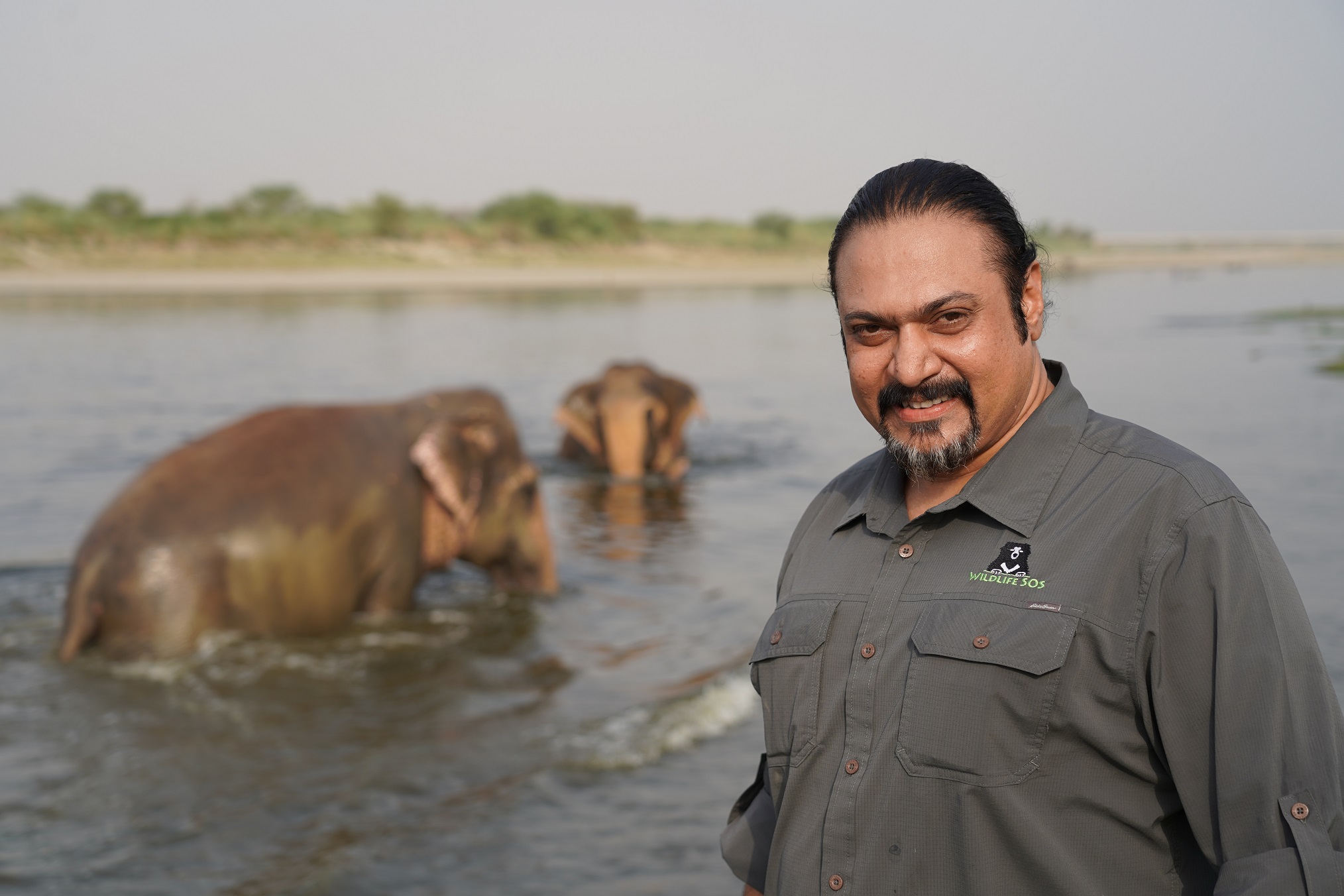 3 Tales From Nat Geo WILD's 'Jungle Animal Rescue'