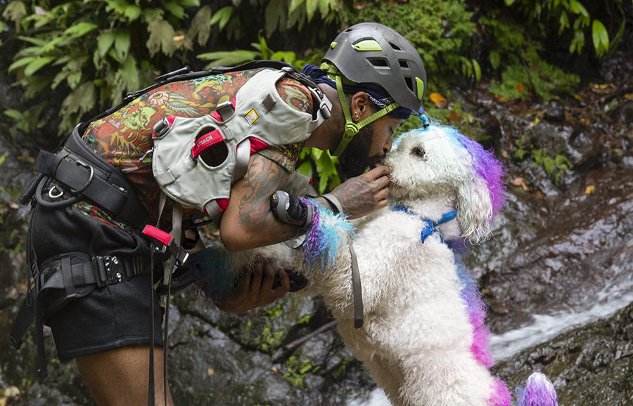 The Pack - Amazon Prime Video Series - Where To Watch