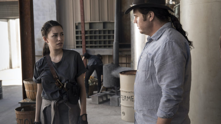 8 'The Walking Dead' Couples From the Comics That Didn't Make the Show