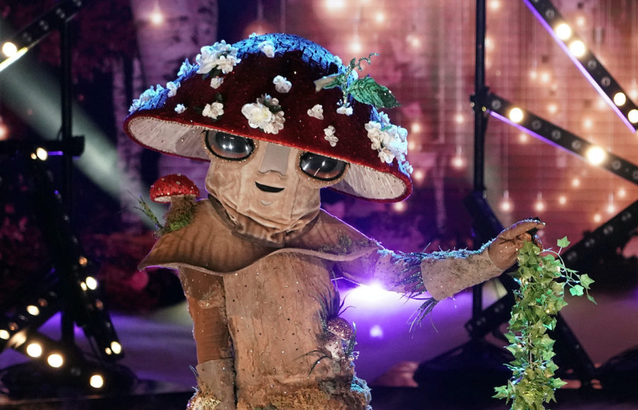 The Masked Singer - FOX Reality Series - Where To Watch