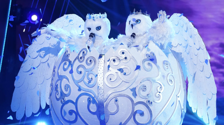 'The Masked Singer's Snow Owls on Being the Show's First Duo & That ...