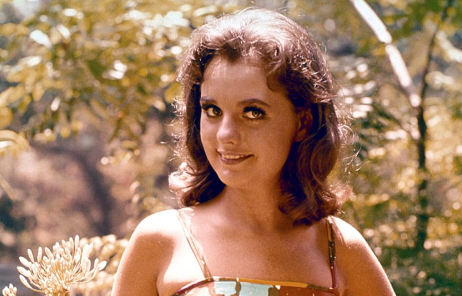 Dawn Wells - Actress