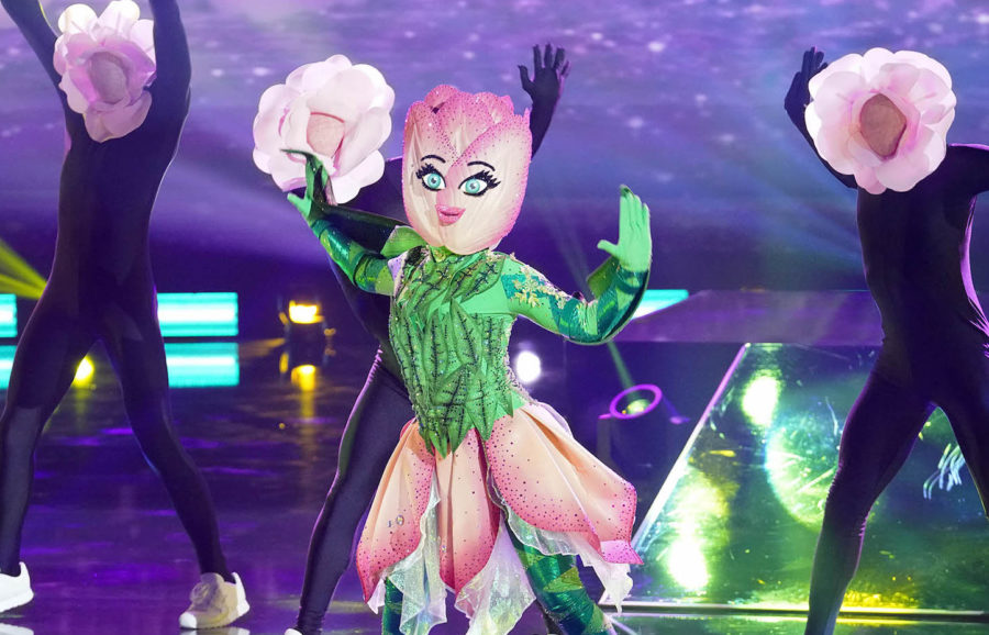 The Masked Dancer - FOX Reality Series - Where To Watch