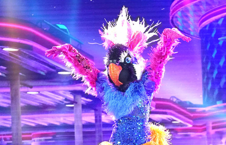 The Masked Dancer - FOX Reality Series