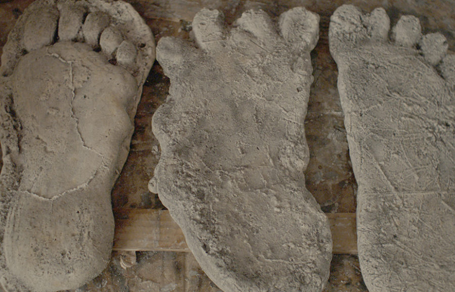 Sasquatch - Hulu Docuseries - Where To Watch