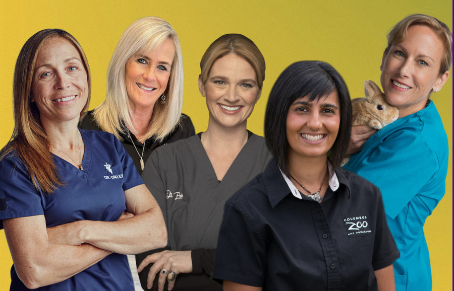 Heartland Docs, DVM - Nat Geo Wild Series - Where To Watch