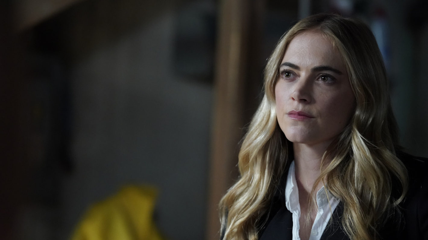 'NCIS' Season 18 Finale: Did Bishop Leak NSA Files? Plus, [Spoiler] Is ...