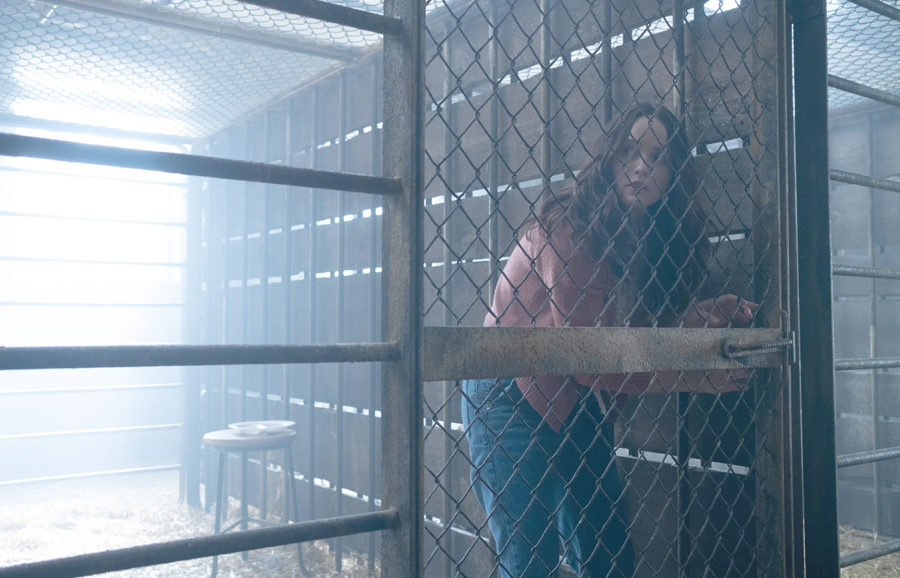 Clarice - CBS Series - Where To Watch