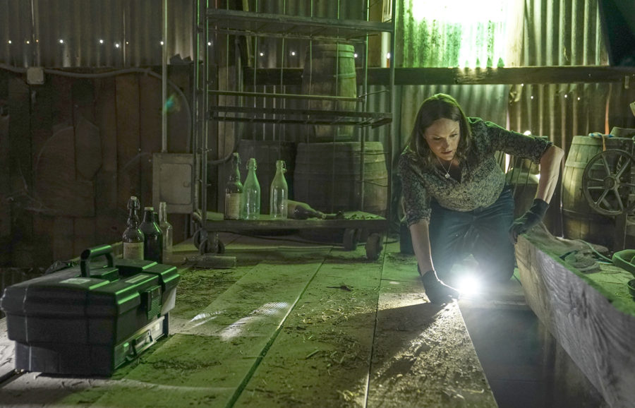 Paul Guilfoyle - Actor