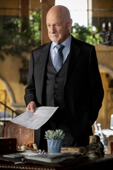 Hetty Is Back — With Secrets — in the 'NCIS: LA' Season 13 Premiere ...