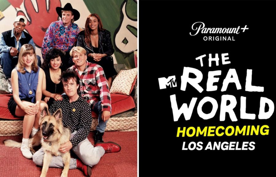 The Real World - MTV Reality Series - Where To Watch