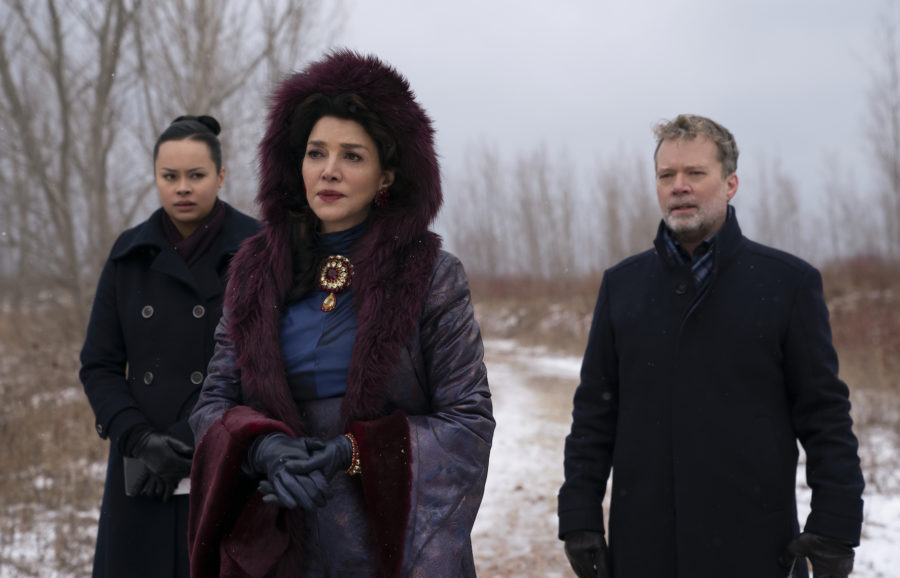 Steven Strait - Actor, Singer