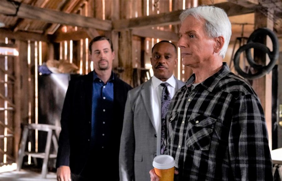 Ask Matt - TV Insider