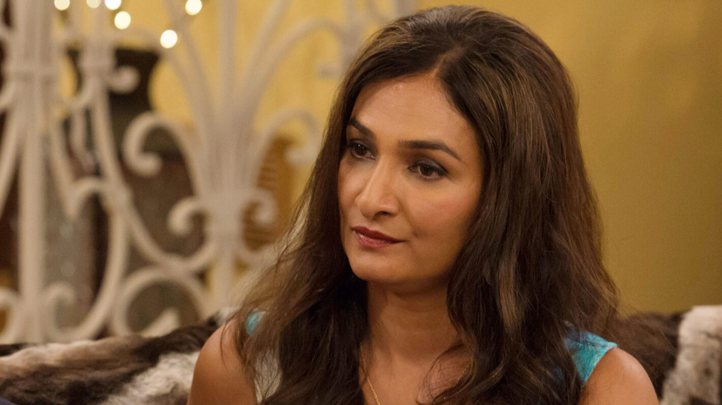 'The Flash' Actress Meera Simhan Joins ABC Comedy Pilot 'The Son in Law'