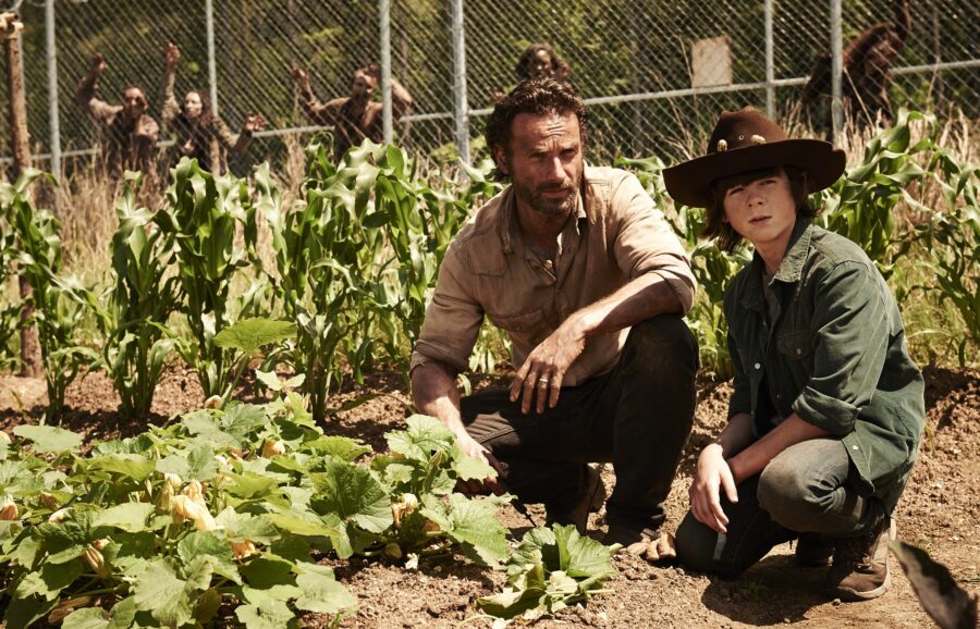 The Walking Dead - AMC Series - Where To Watch