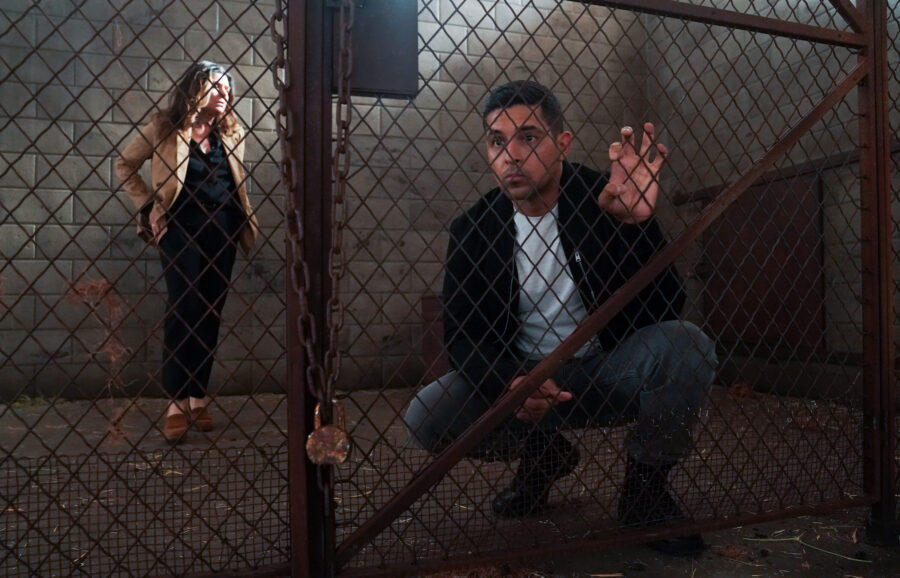 NCIS - CBS & Paramount+ Series - Where To Watch