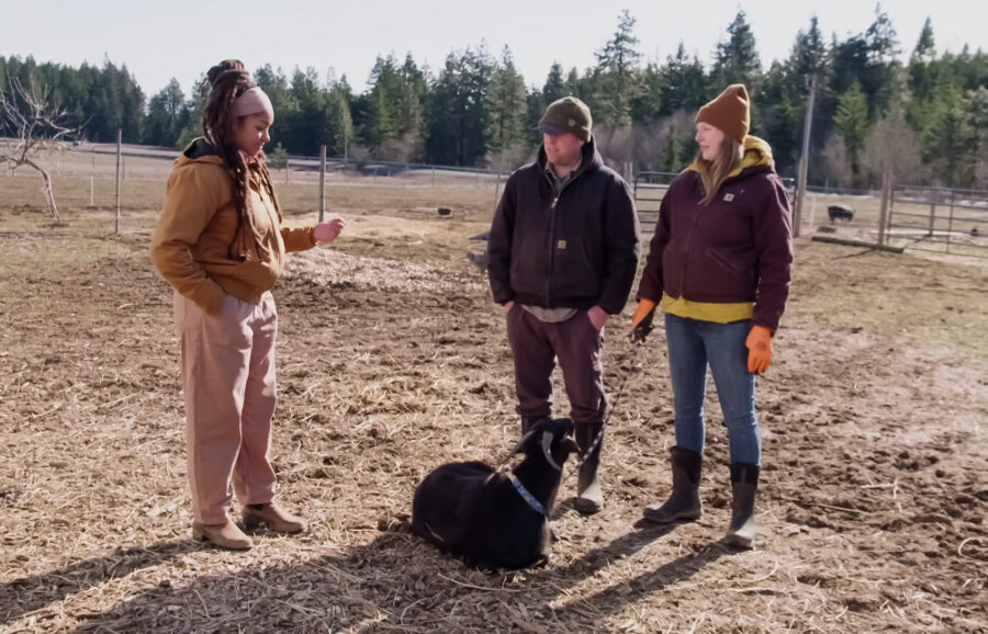 Farm Dreams - Nat Geo Wild & Disney+ Reality Series - Where To Watch