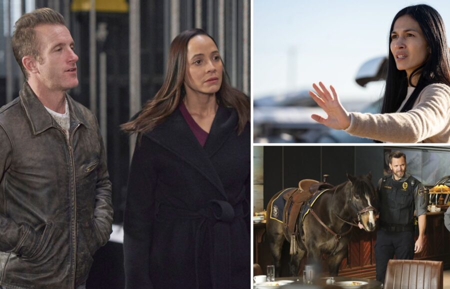 The Cleaning Lady - FOX Series - Where To Watch