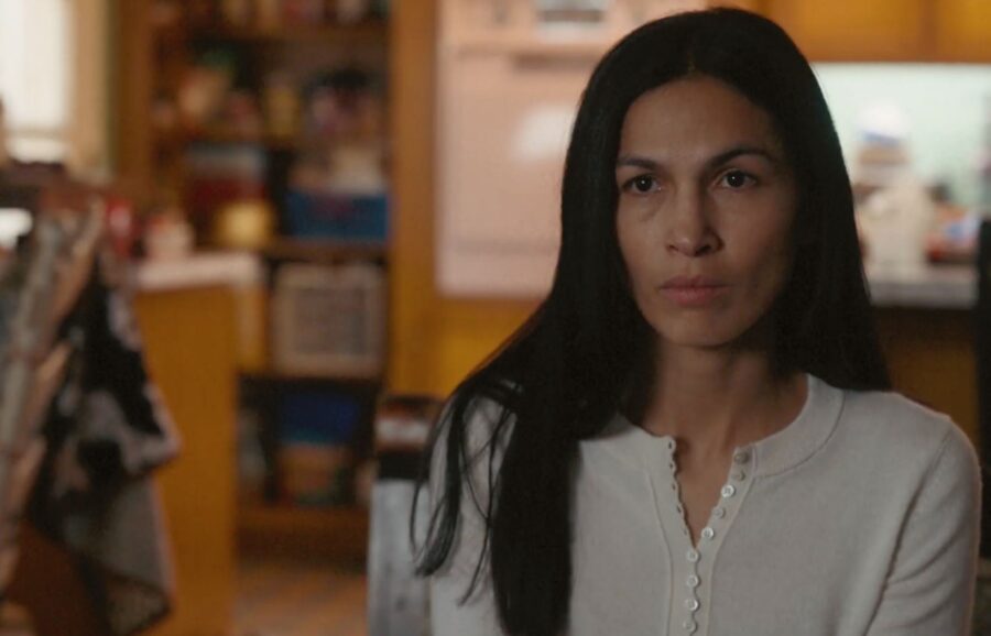 The Cleaning Lady - FOX Series - Where To Watch