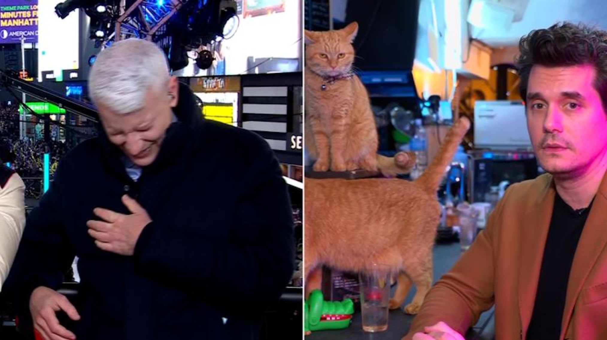 See Anderson Cooper Lose It Over John Mayer in a Cat Bar During CNN's ...