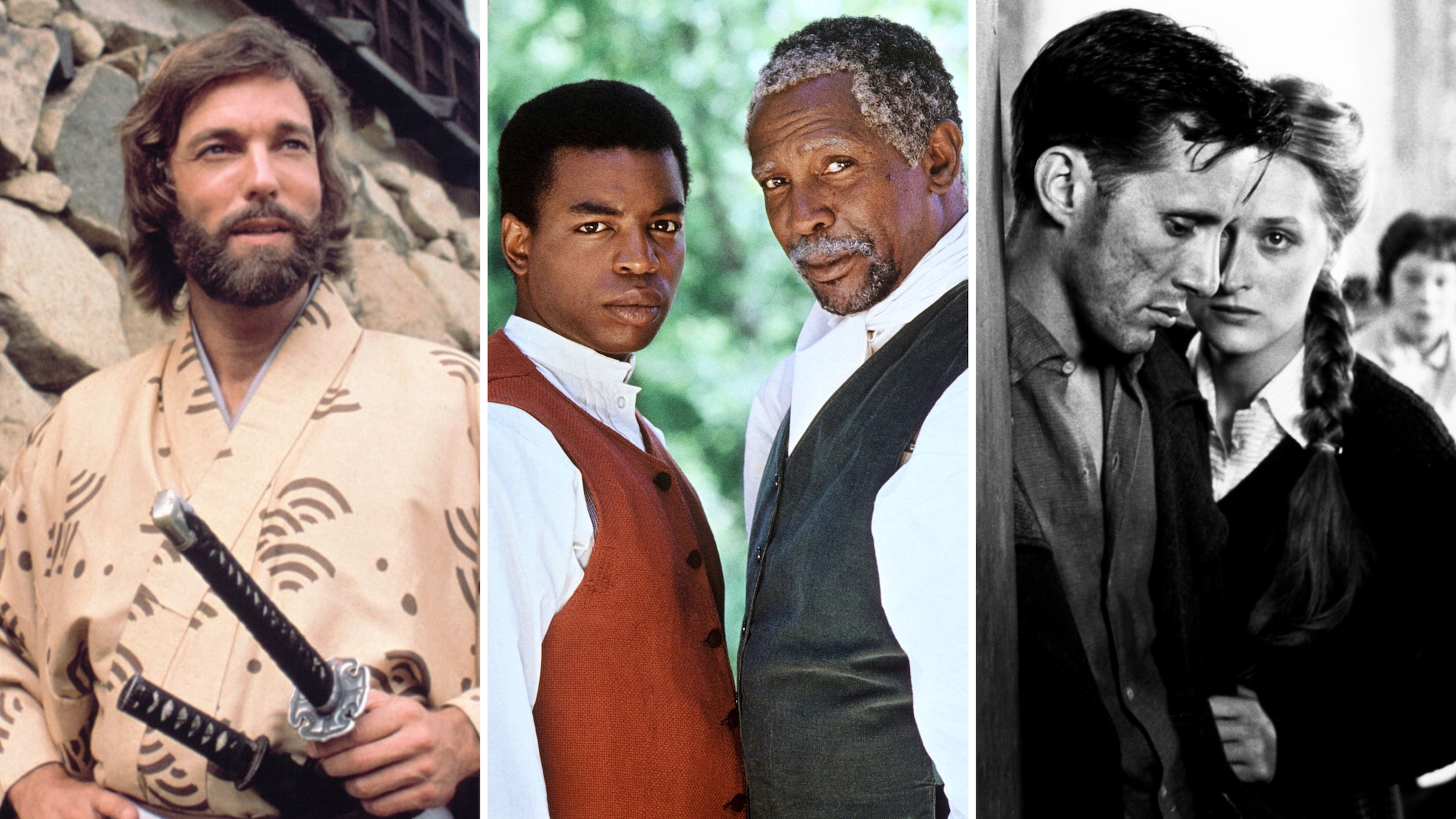 10 Best Miniseries of the 1970s & 1980s: 'Shogun,' 'Roots' & More 10 Best Miniseries of the 1970s & 1980s: 'Shogun,' 'Roots' & More