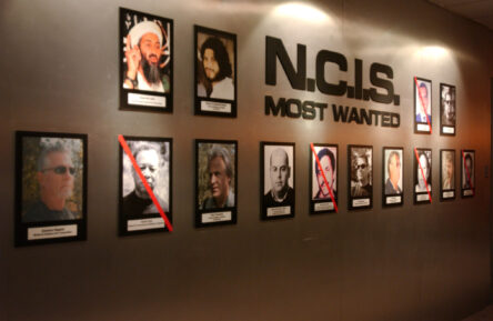 Why 'NCIS' Still Rules TV