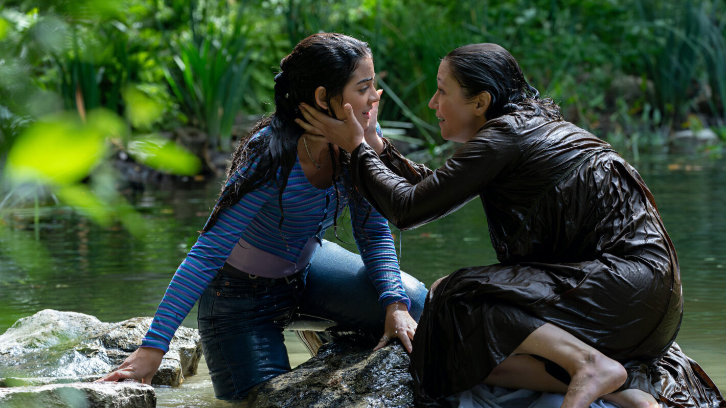 Will 'The Way Home' Pond Ever Take Anyone to the Future?