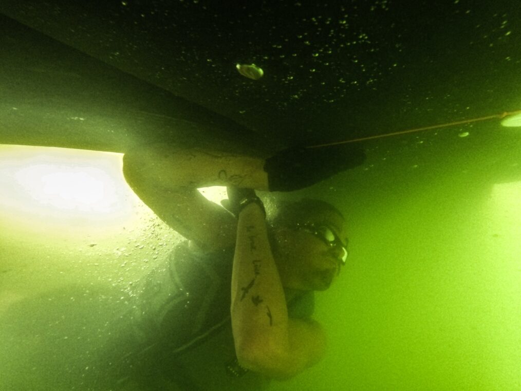 'The Challenge: All Stars': Averey Tressler and Ryan Kehoe Reveal What ...