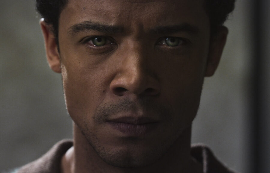 Kelli Boyle's Articles