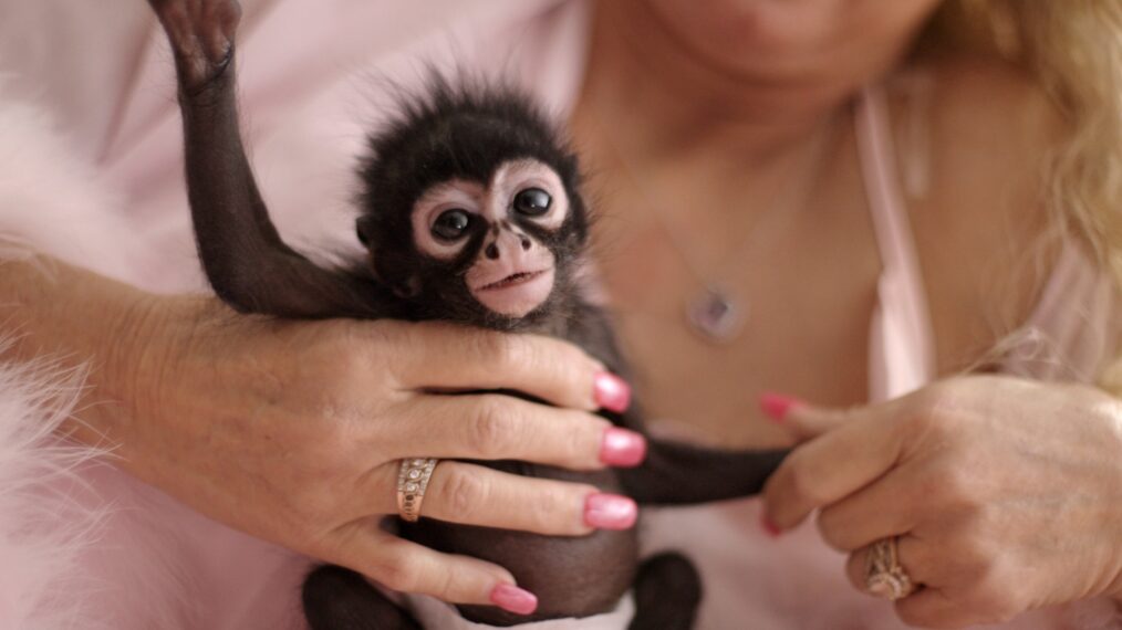 Hot Off The Press: The Latest TV News and Information | Page 3334 | AVS ...