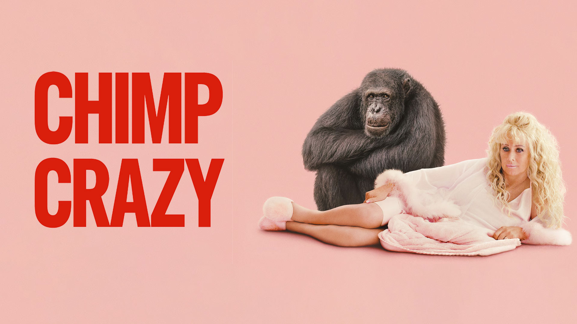 Chimp Crazy - HBO & Max Docuseries - Where To Watch Chimp Crazy - HBO & Max Docuseries - Where To Watch