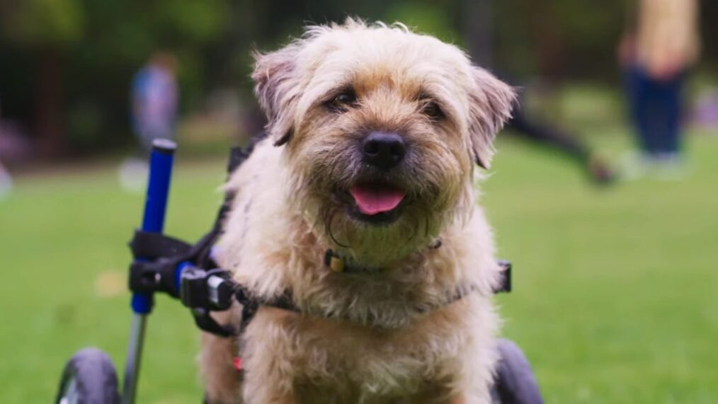 'Colin From Accounts' Season 2 Sneak Peek Clip: Gordon and Ashley Play ...