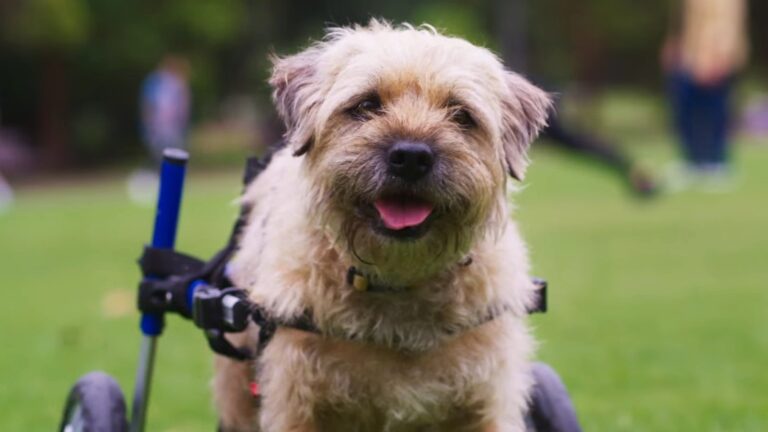 'Colin From Accounts' Season 2 Sneak Peek Clip: Gordon and Ashley Play ...