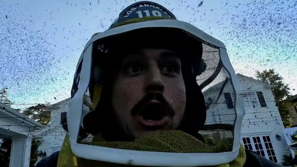 '9-1-1' Season 8 Trailer: Millions of Killer Bees Attack LA