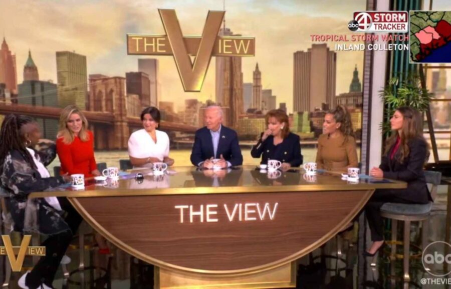 The View - ABC Talk Show