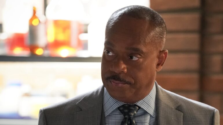 'NCIS' Interview: Rocky Carroll Talks Vance's Relationship With Lena ...