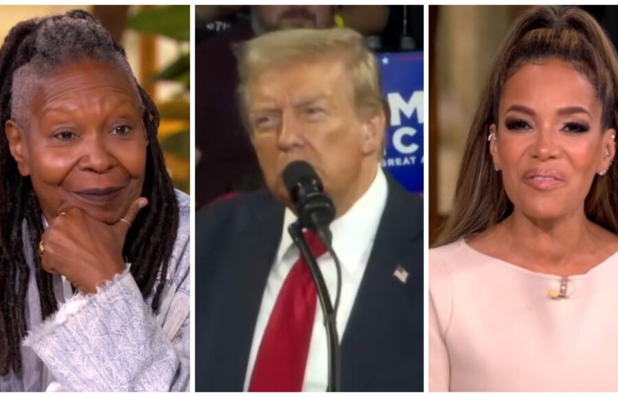 The View - ABC Talk Show