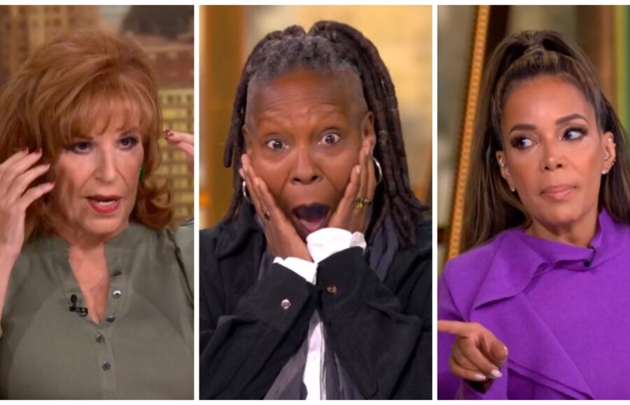 The View - ABC Talk Show