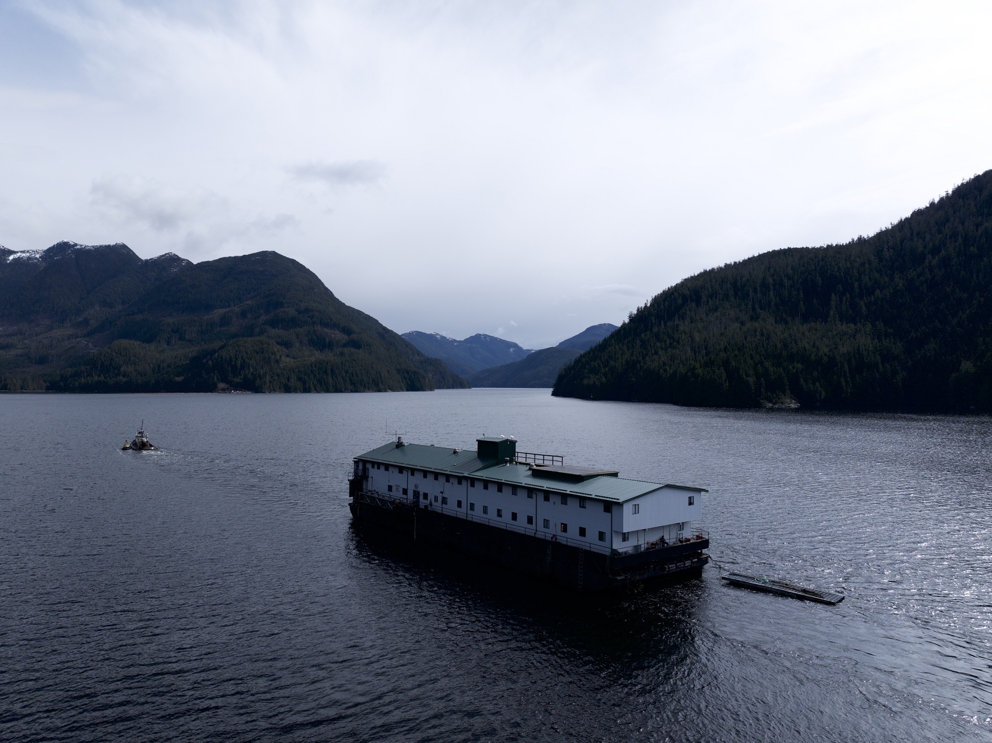 'The Last Woodsmen': Logger Boss on Risking Life & Limb During New ...